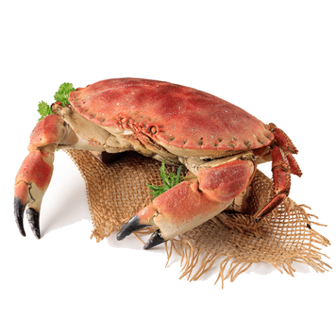 1/2 Tourteau Cuit - Poissonnerie Schaller - Messein